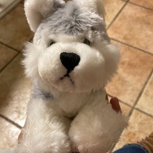 GANZ | Toys | Ganz Webkinz Husky Dog Plush Toy Unused Sealed Code Tag ...